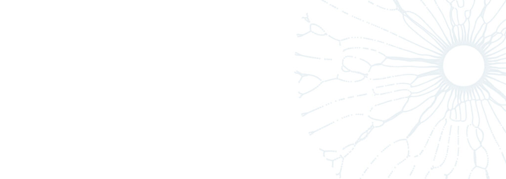 CurePharma - (United Kingdom)